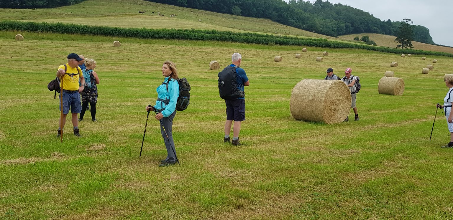 Welcome - South Gwent Ramblers